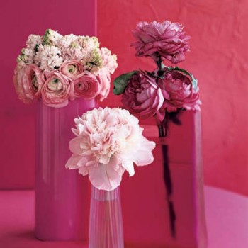Color+Inspiration: Pink